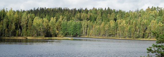 Välkommen till Ekopark Kilsbergen