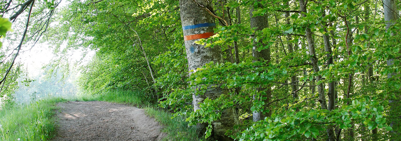 Se och göra i Ekopark Omberg