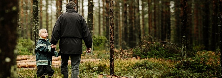 Sveaskog is Sweden´s largest forest owner