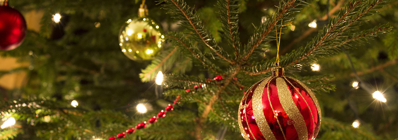 Rödgran eller kungsgran i jul?
