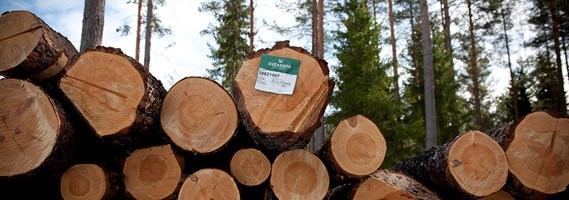 Det här är Sveaskog