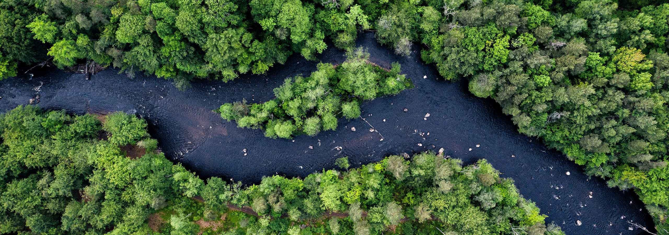 Mörrums Kronolaxfiske - Sveriges ledande sportfiskevatten