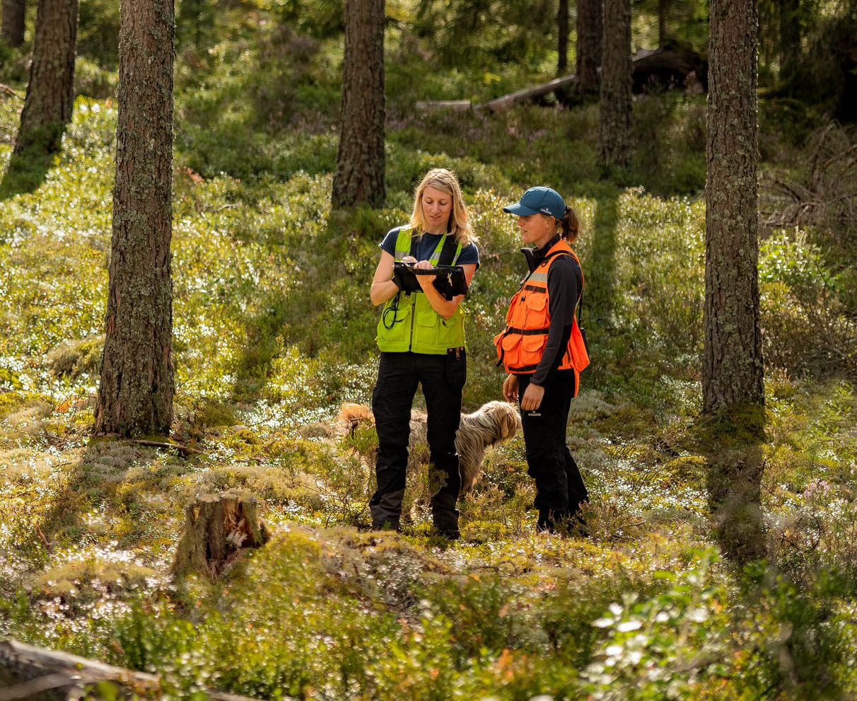 Om Sveaskog - Sveriges största skogsägare